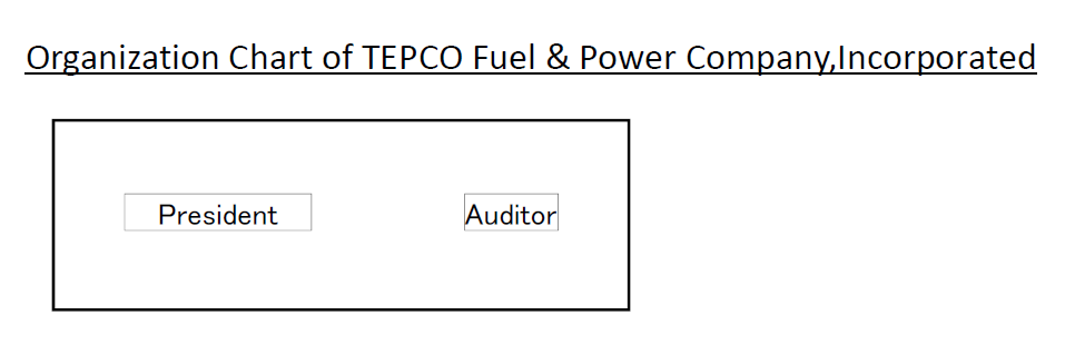 Organizational Chart | TEPCO
